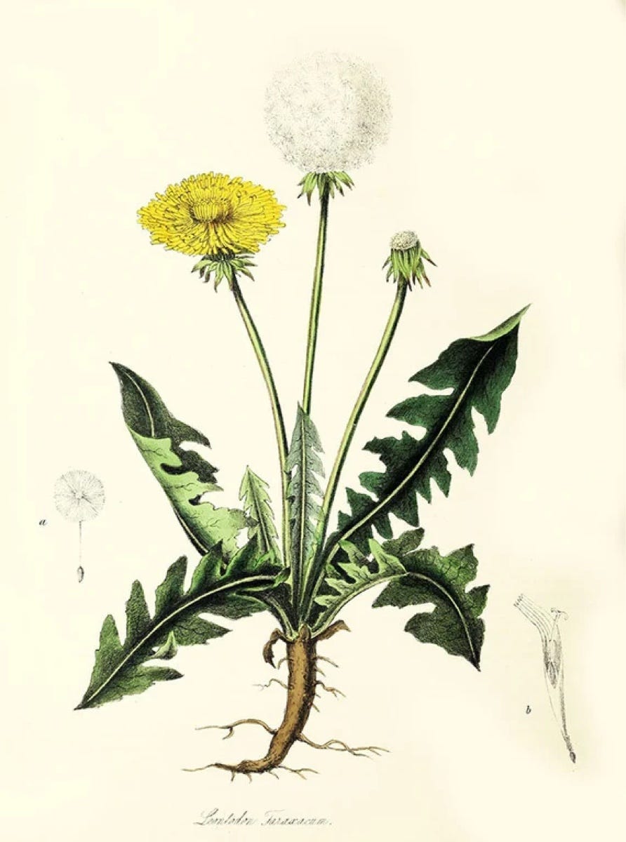 Doyle on Medium curated some lists