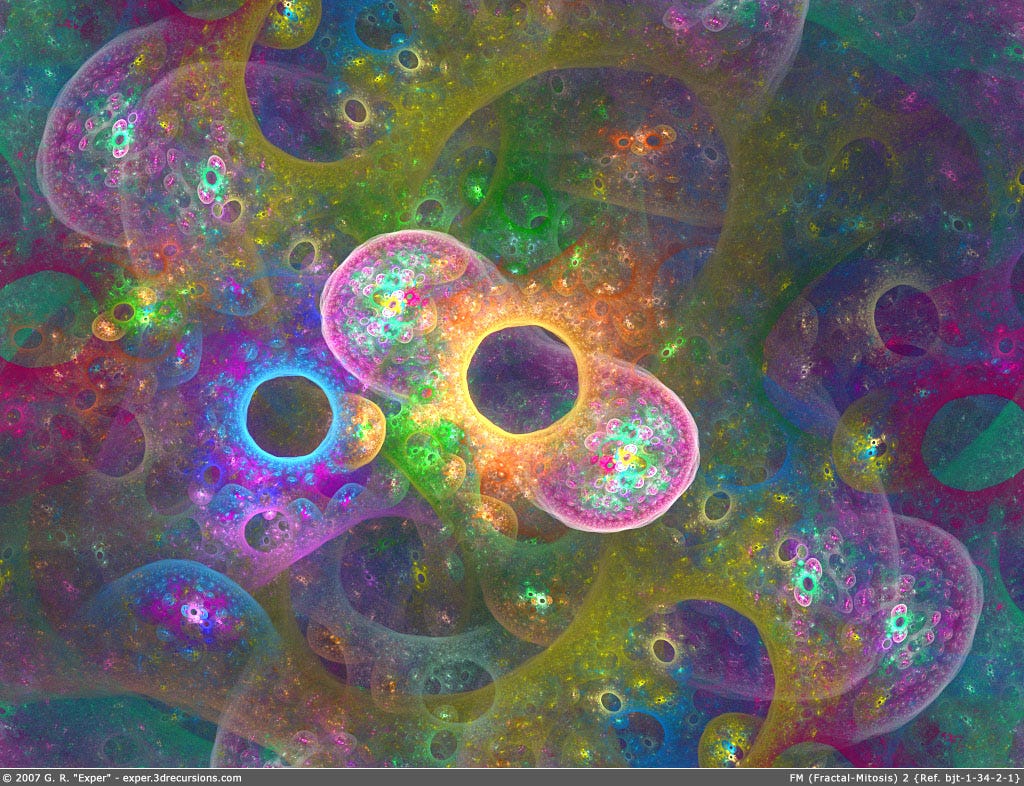 Trina Dutta (Super Amoeba) – Medium