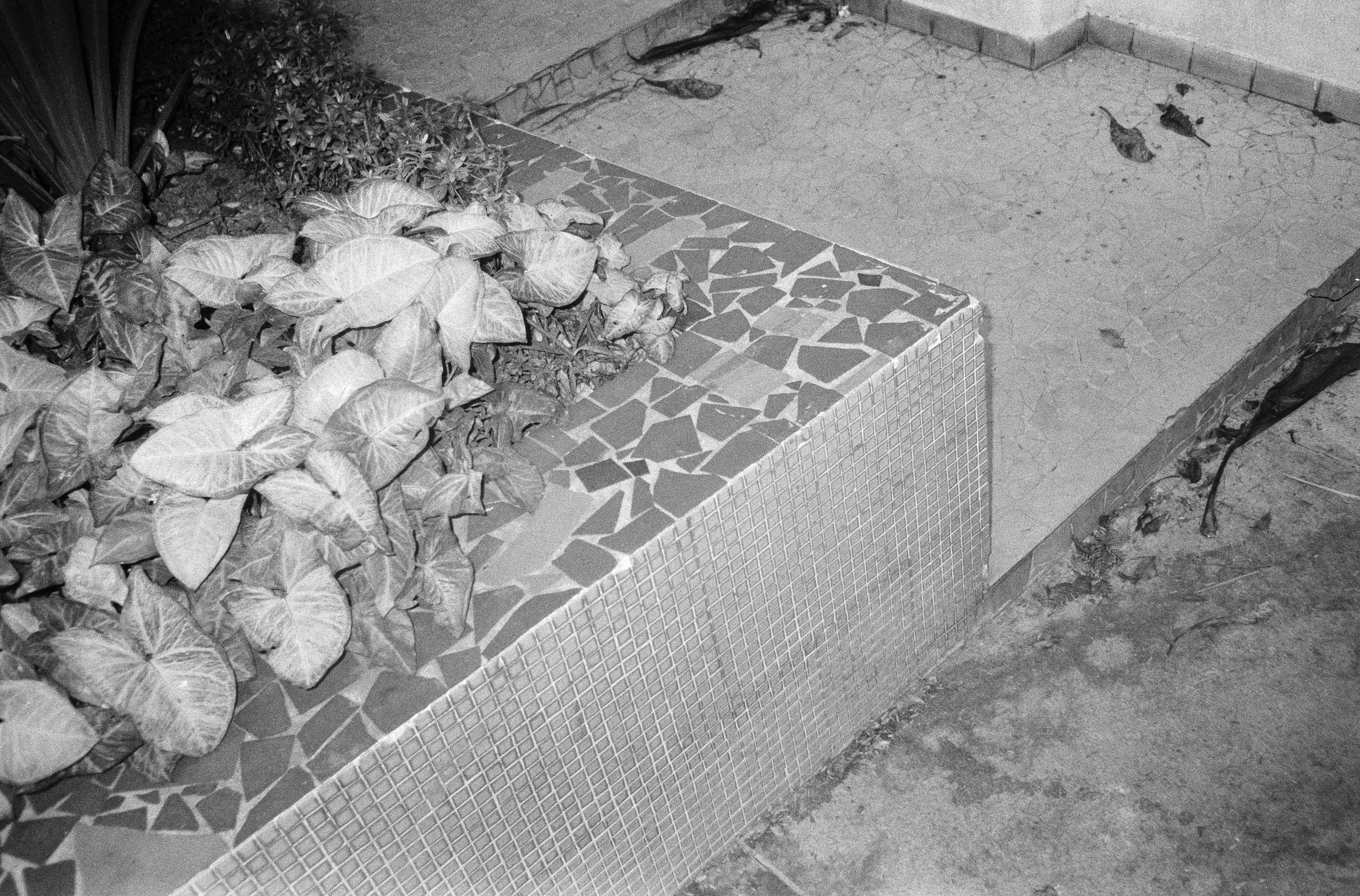 gabriel valerio – Medium