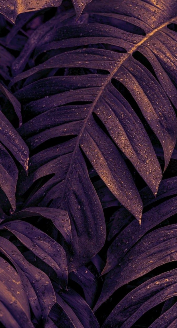 Aisha Aminu Bello – Medium