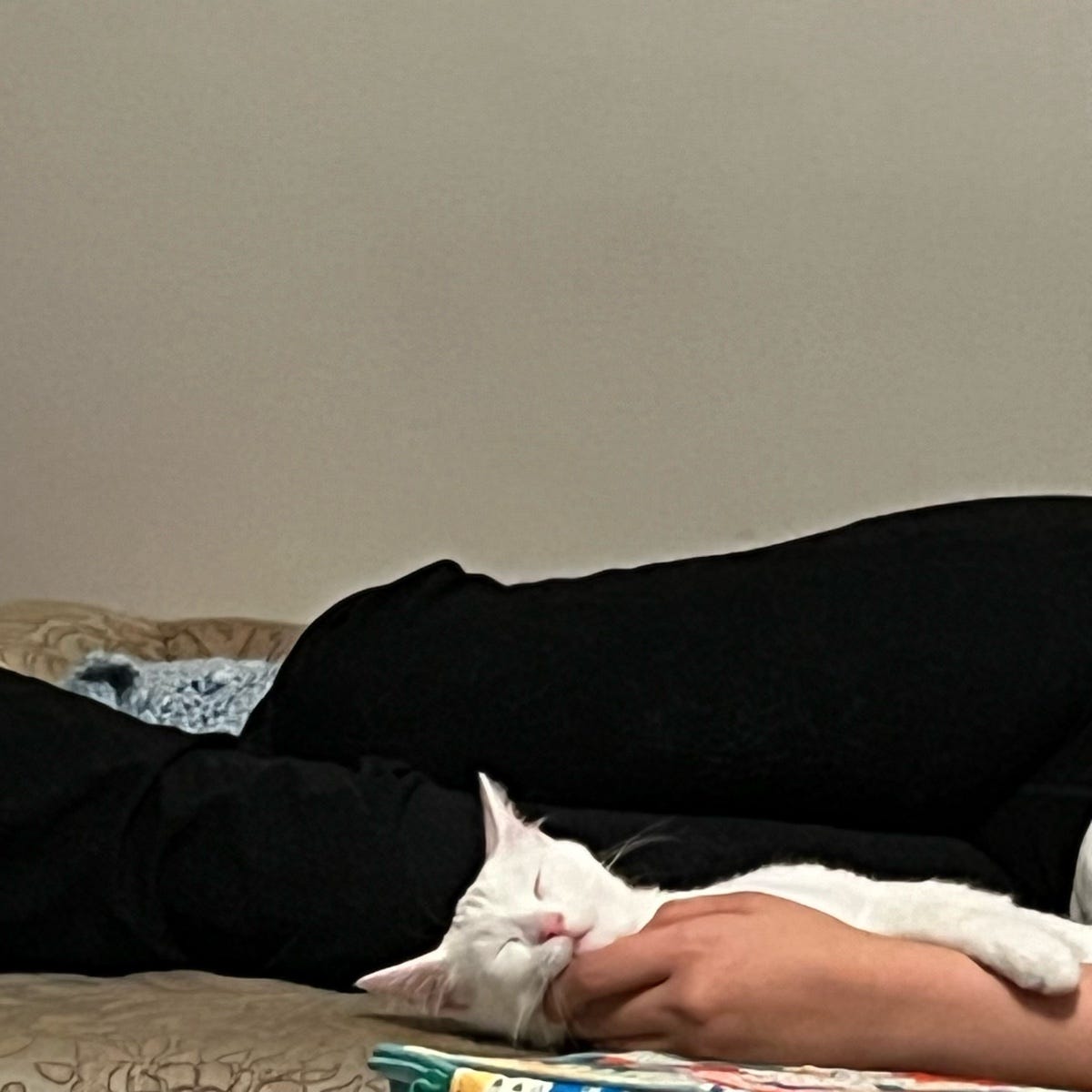 About – leys – Medium