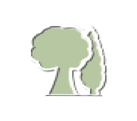 Winkleigh Timber – Medium