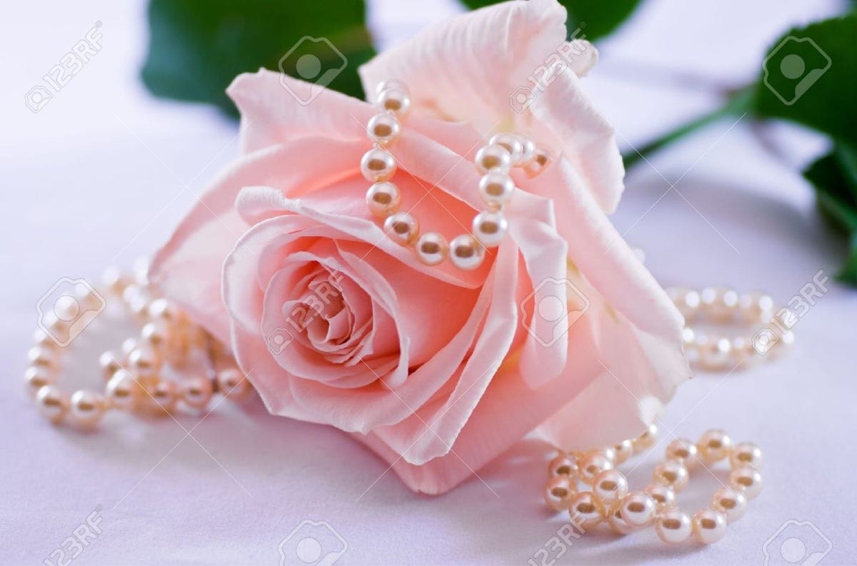 Rose Pearl – Medium