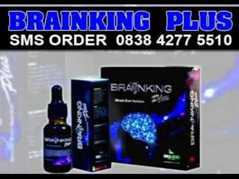 Jual Brainking Plus Semarang 0838 4277 5510 – Medium