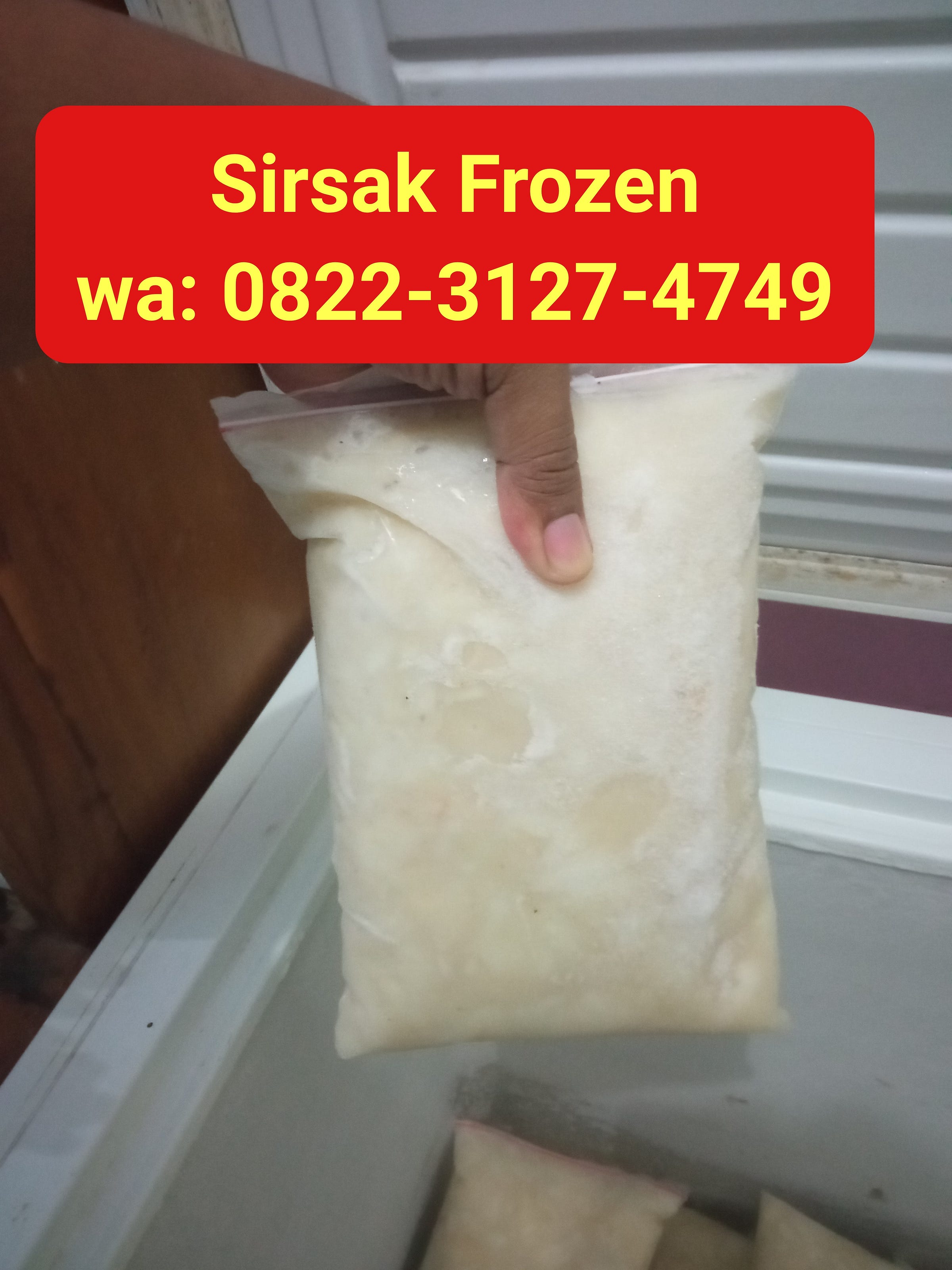 Agen Sirsat Beku di Pasuruan – Medium