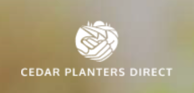 Cedar-Planters-Direct – Medium