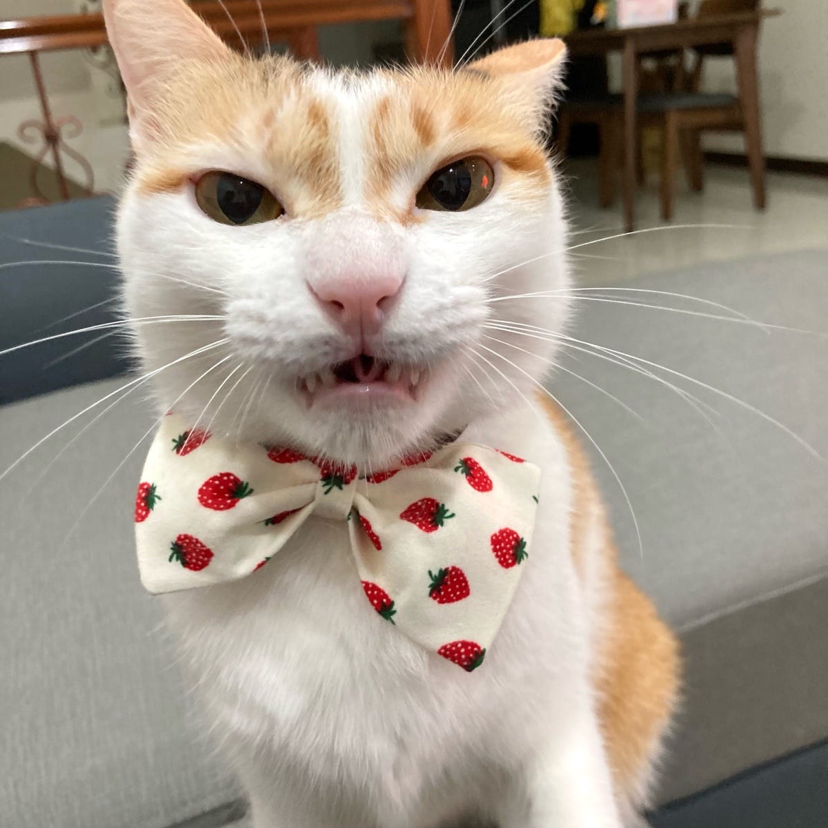 About – CHIAO – Medium