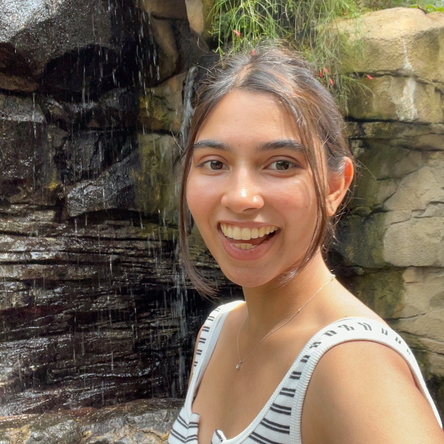 Vanya Rawat on Medium curated some lists