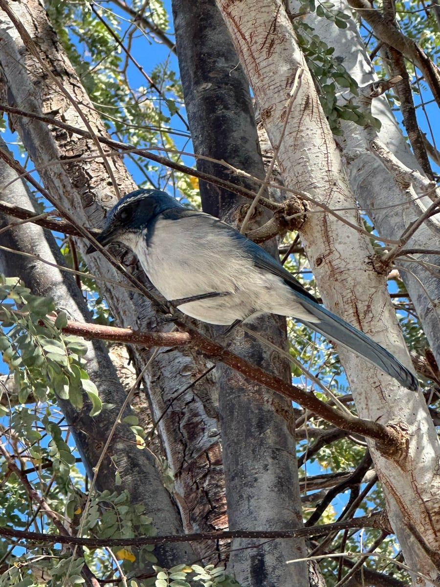 Derek Alvarez – Medium