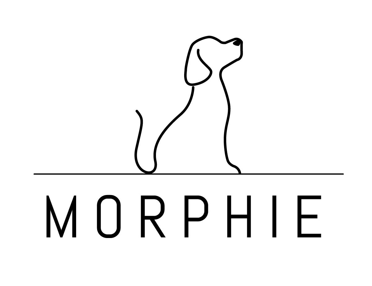 About – Morphie Network – Medium