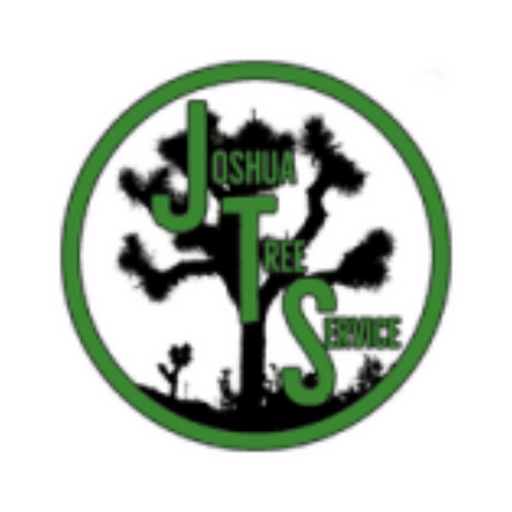 Marietta GA Tree Care Help – Medium