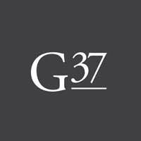 Guernica 37 Chambers – Medium