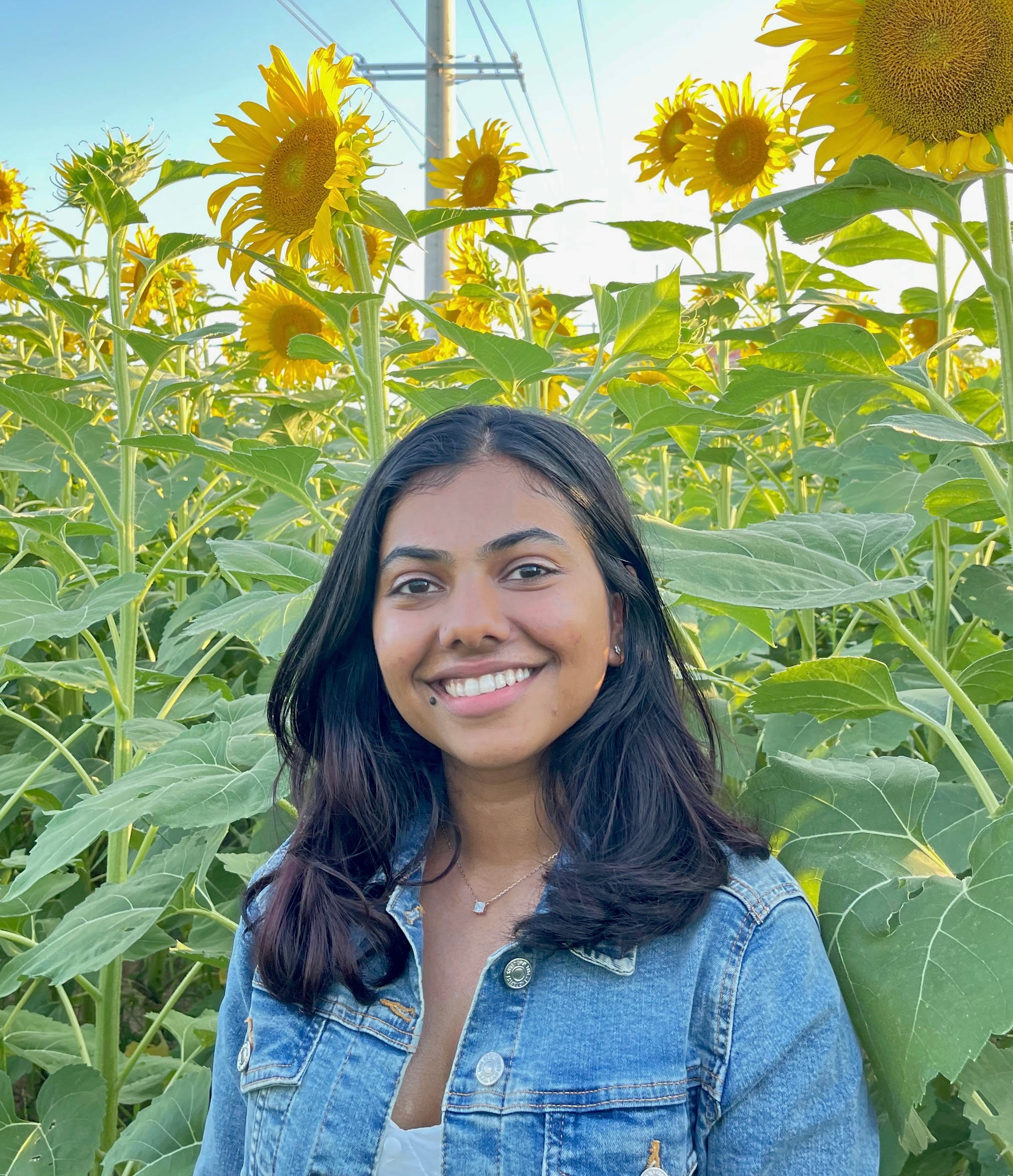 About – Monisha Anand – Medium