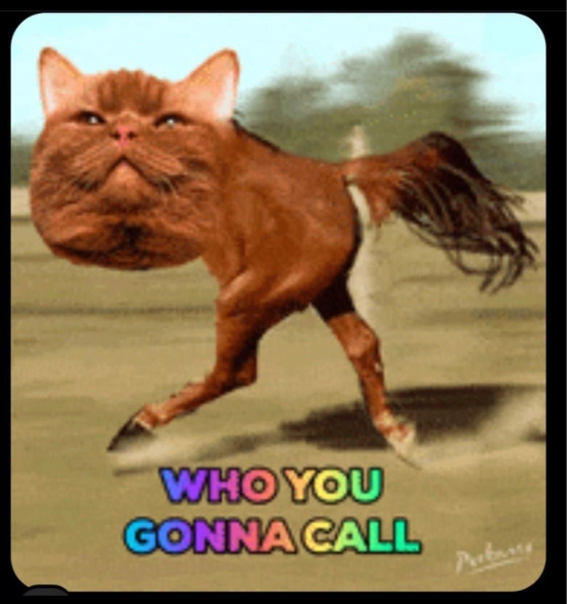 ShoaibSyed – Medium