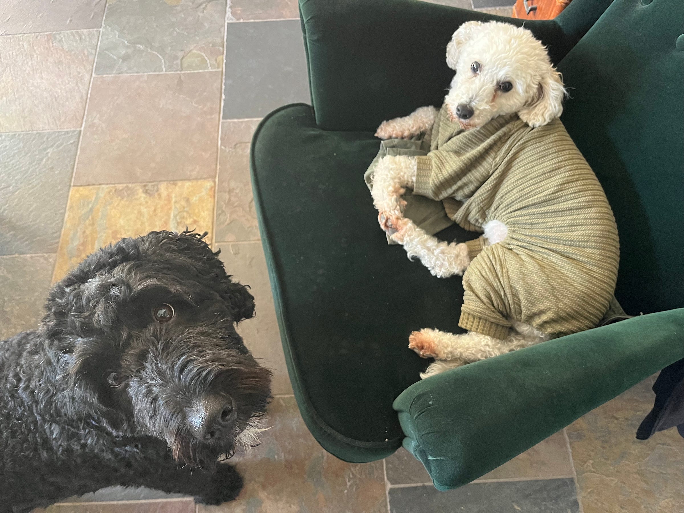 W. Jenks Gibbons – Medium