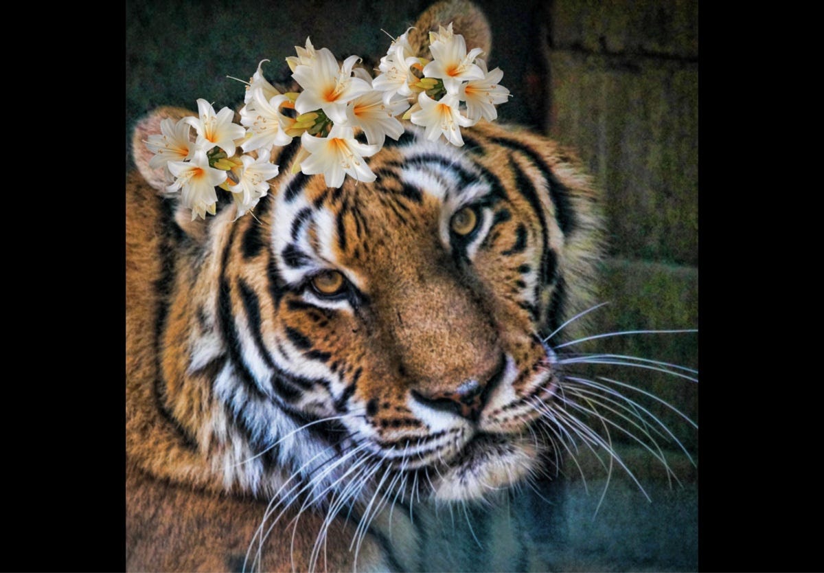 About – Micaela – Medium