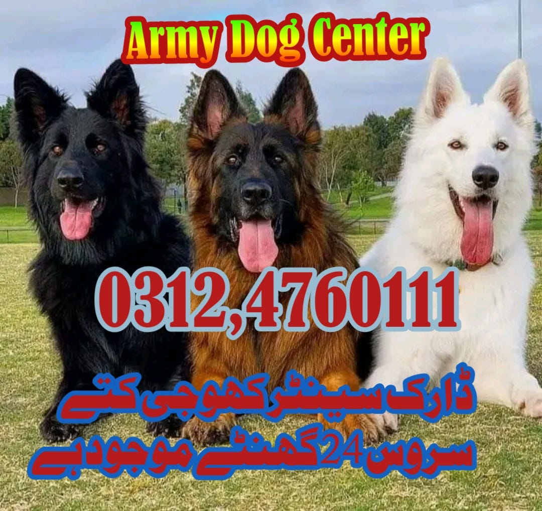 Army dog Center Jhelum 03454760111 – Medium