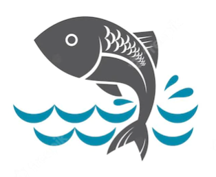 Fisher – Medium