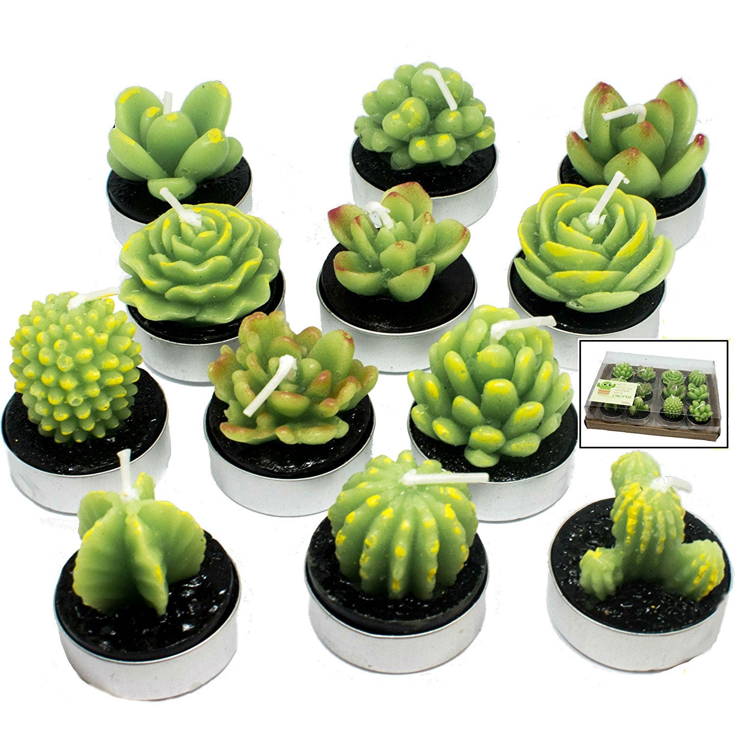 About – Cactus candles – Medium