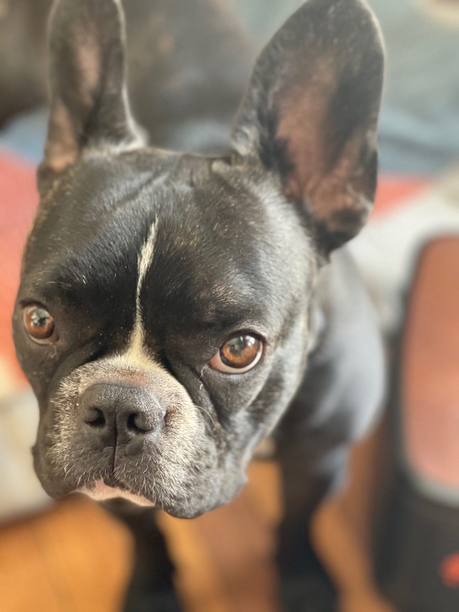 Tanner Long – Medium