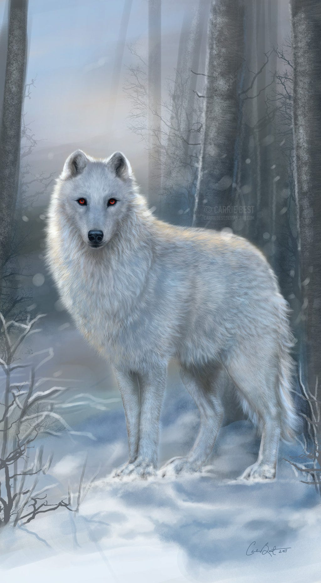 Ghost – Medium