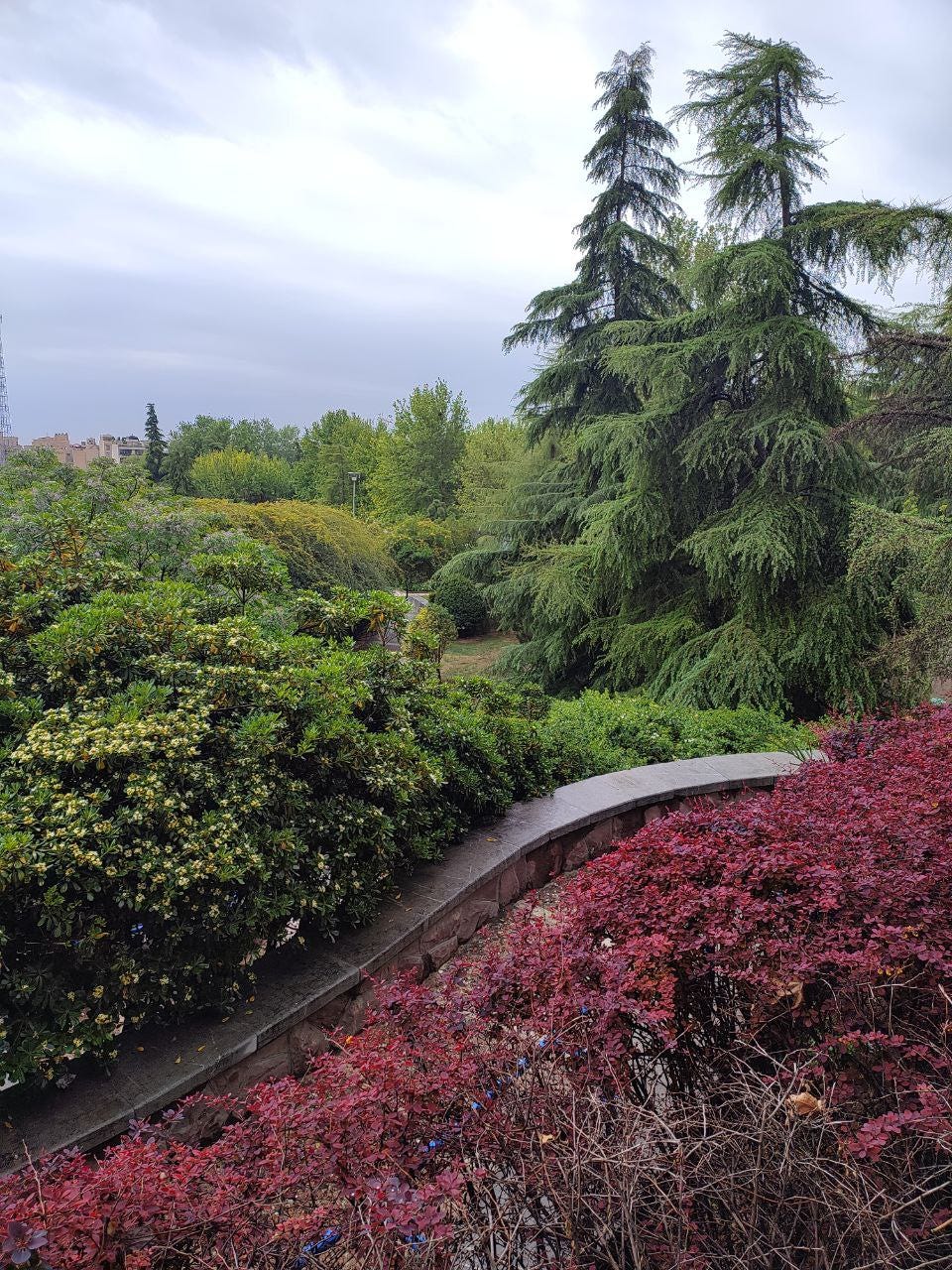 Zahra Kahdooei – Medium