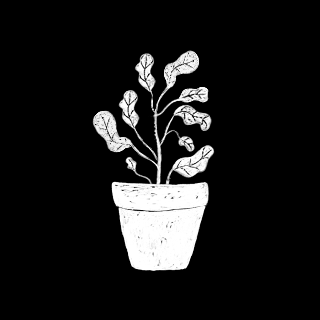 Autor anónimo – Medium