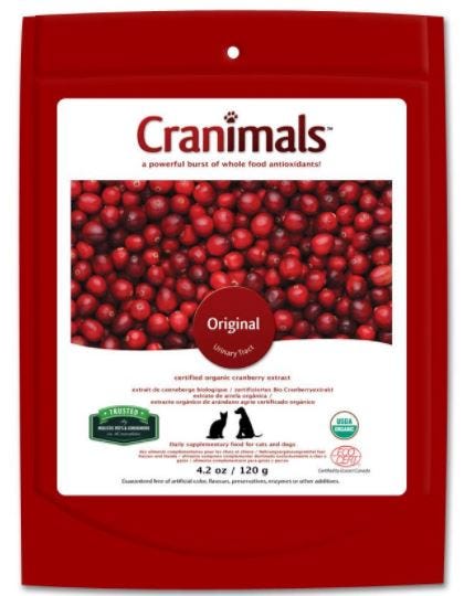 About – Cranimals – Medium