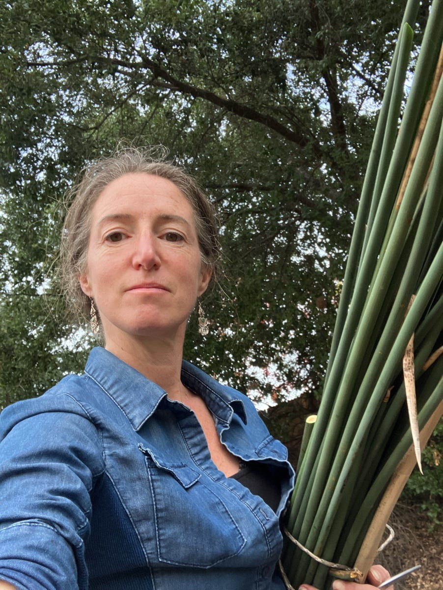 Books – Jessica Carew Kraft – Medium