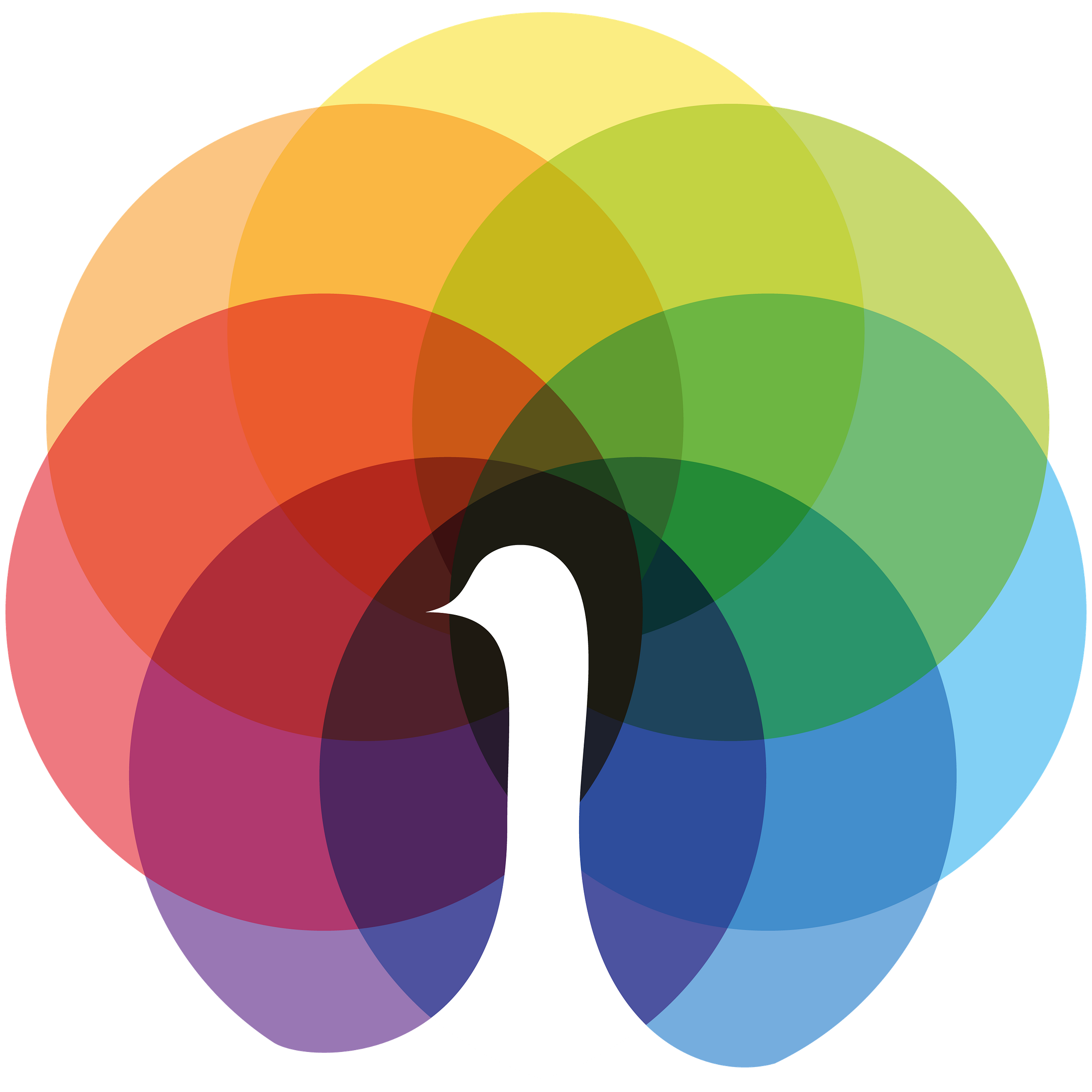 About – Peafowl IT Solution – Medium