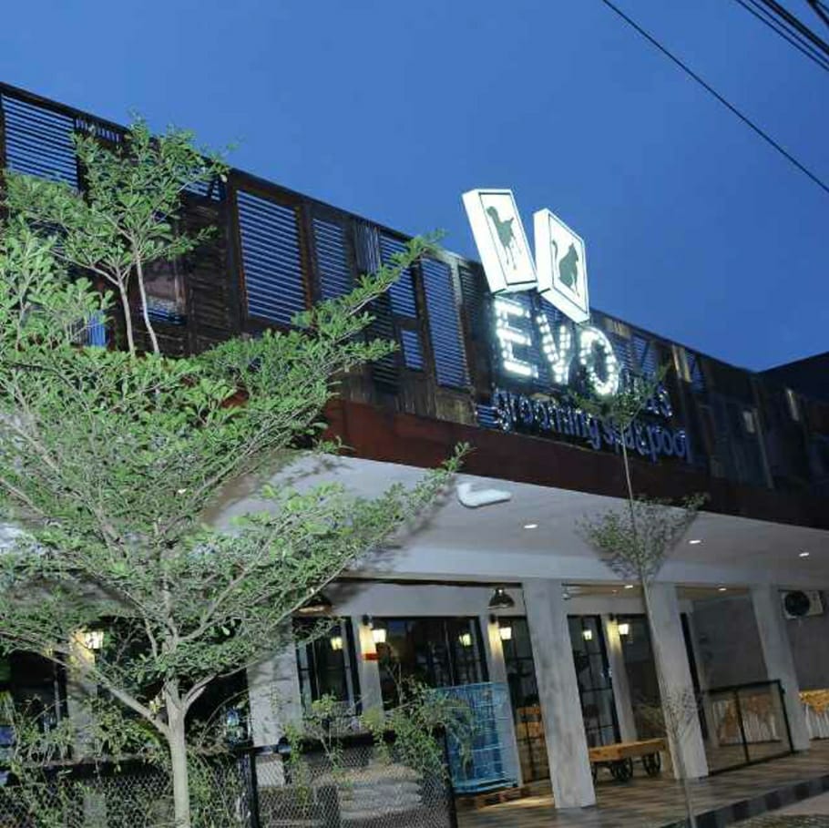 Distributor Makanan Kucing – Medium