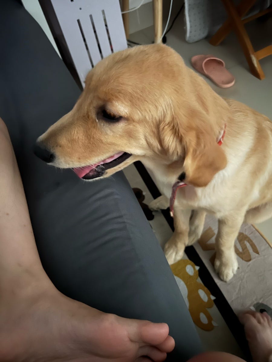 Quang Pham on Medium curated some lists