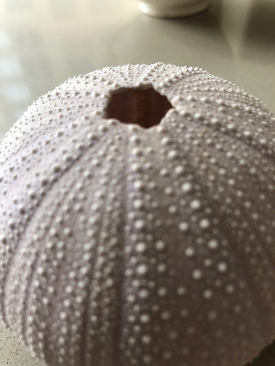 Better second half – Medium