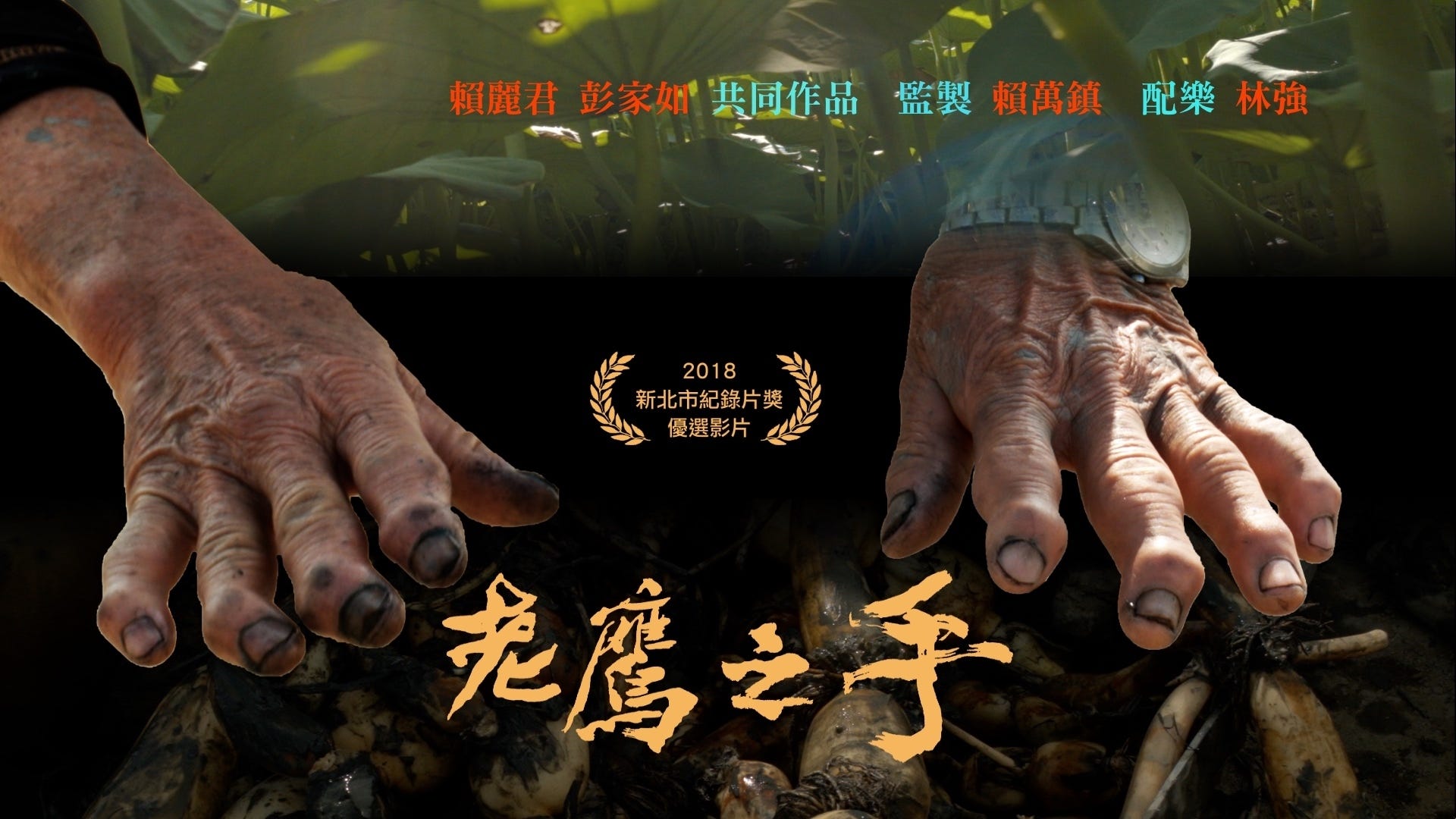 About – Eagle Hand – Medium