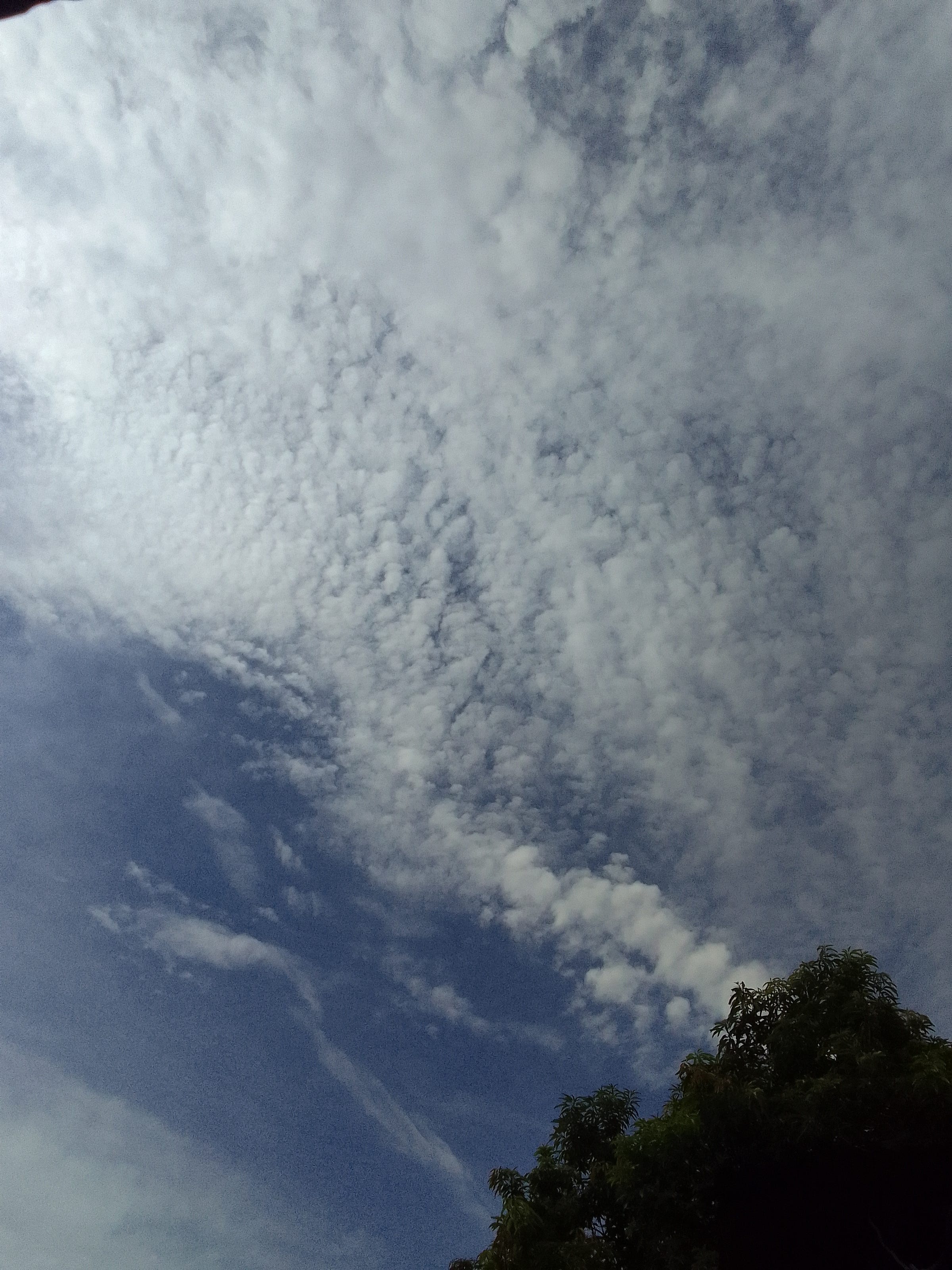 About – Hannah – Medium