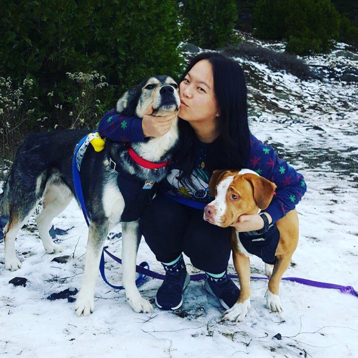 pang yang – Medium