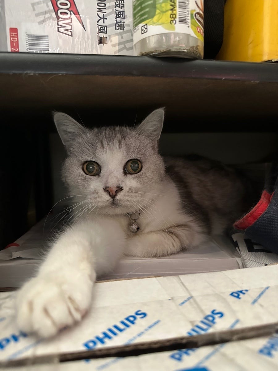 Wu on Medium curated some lists