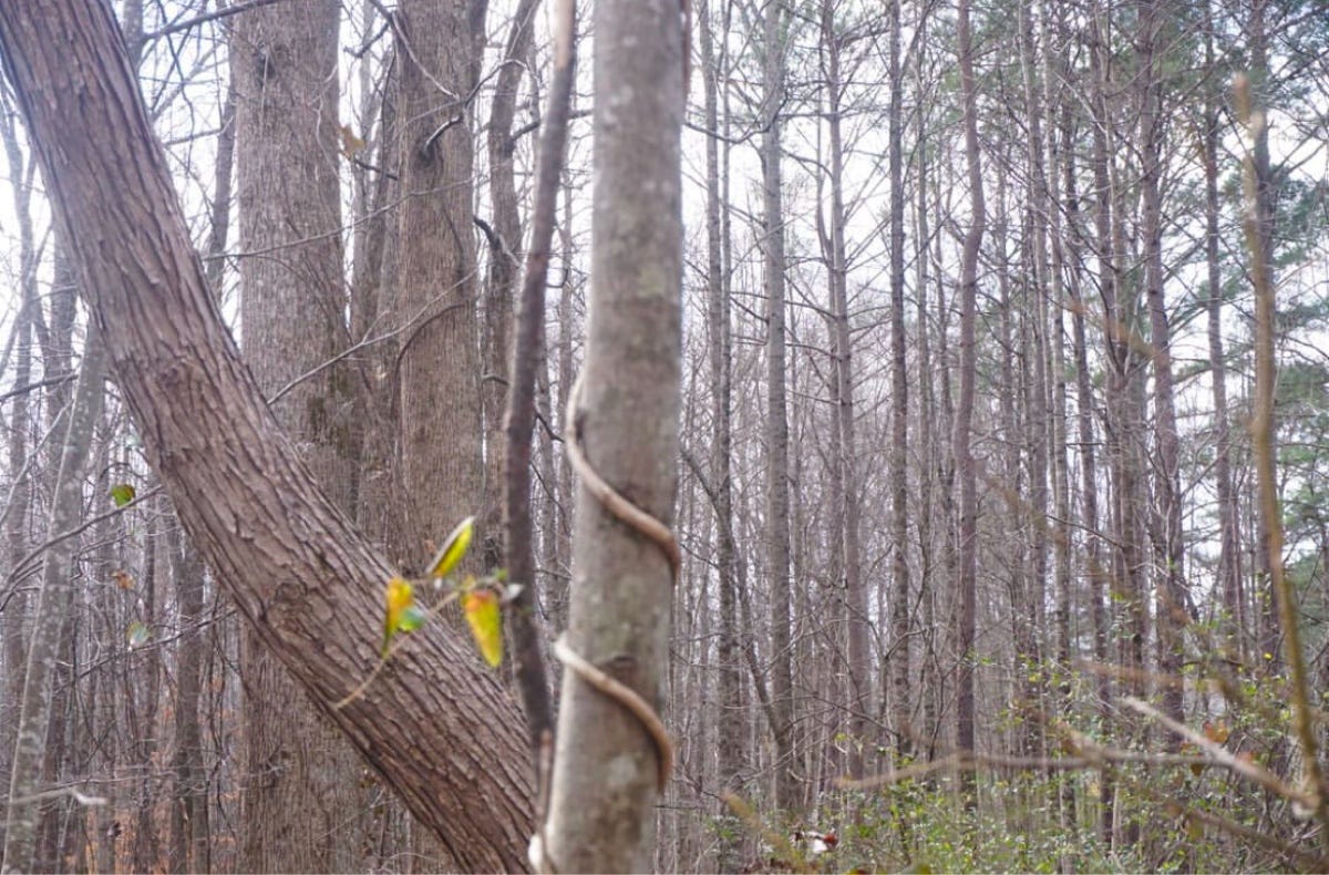 The Timeless POV – Medium