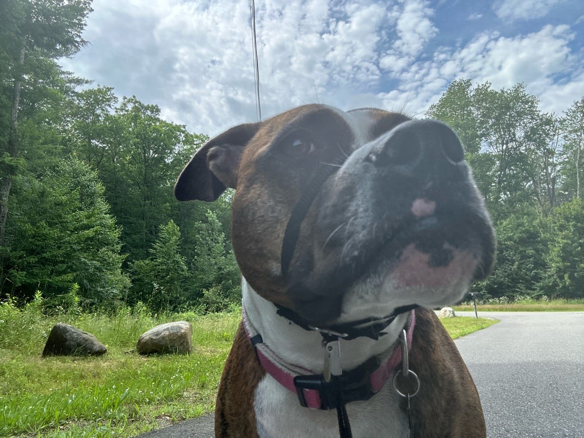 About – Violet SK – Medium