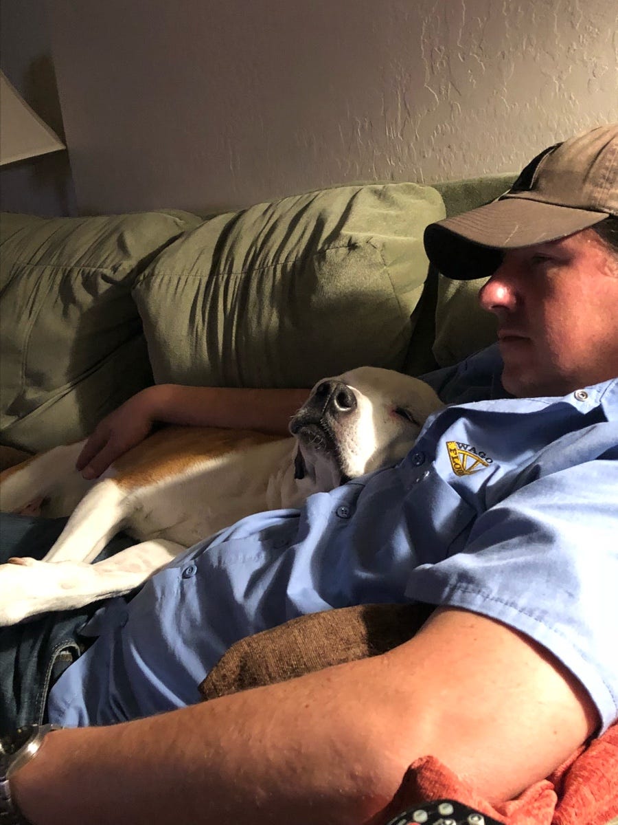 Mark Tippets – Medium