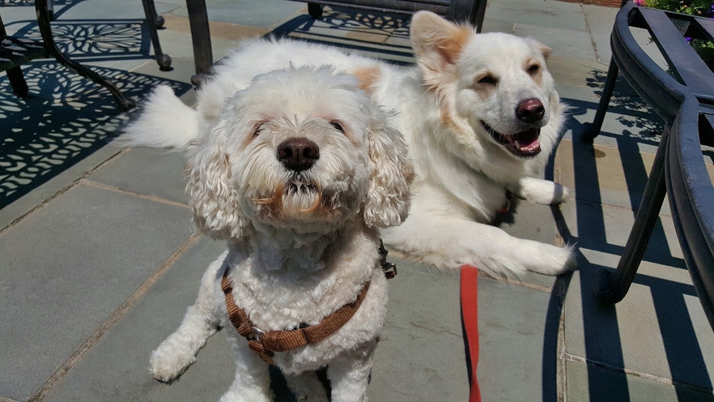 About – Anu Prsd – Medium