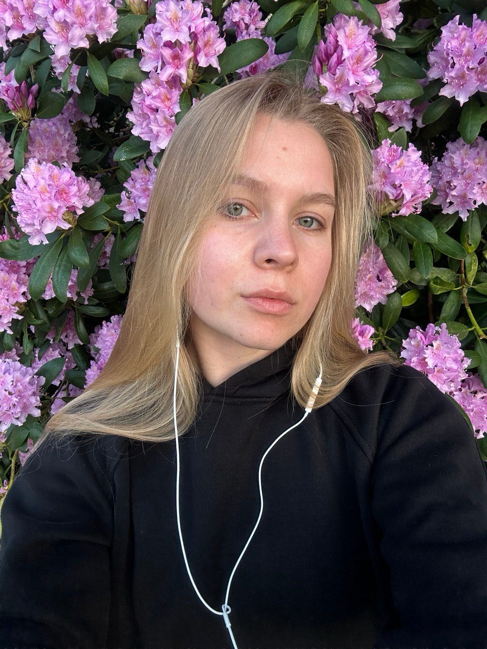 Elizabeth – Medium