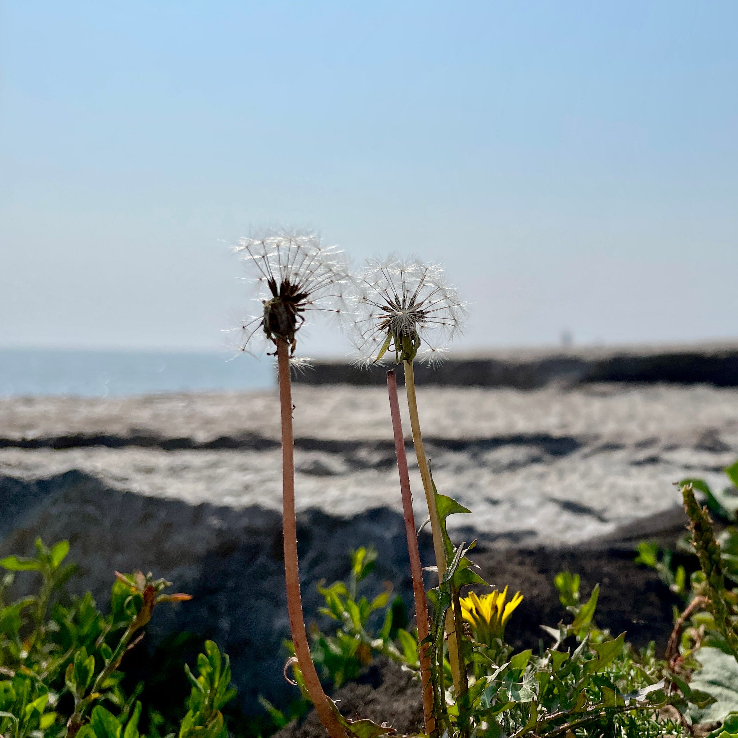 Yiqiao Huang – Medium