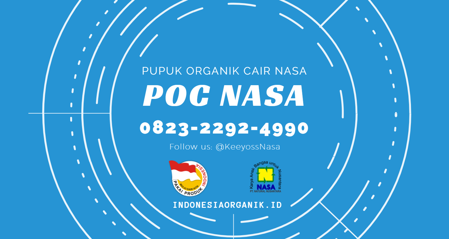 Pupuk Organik Cair Nasa Untuk Cabe – Medium