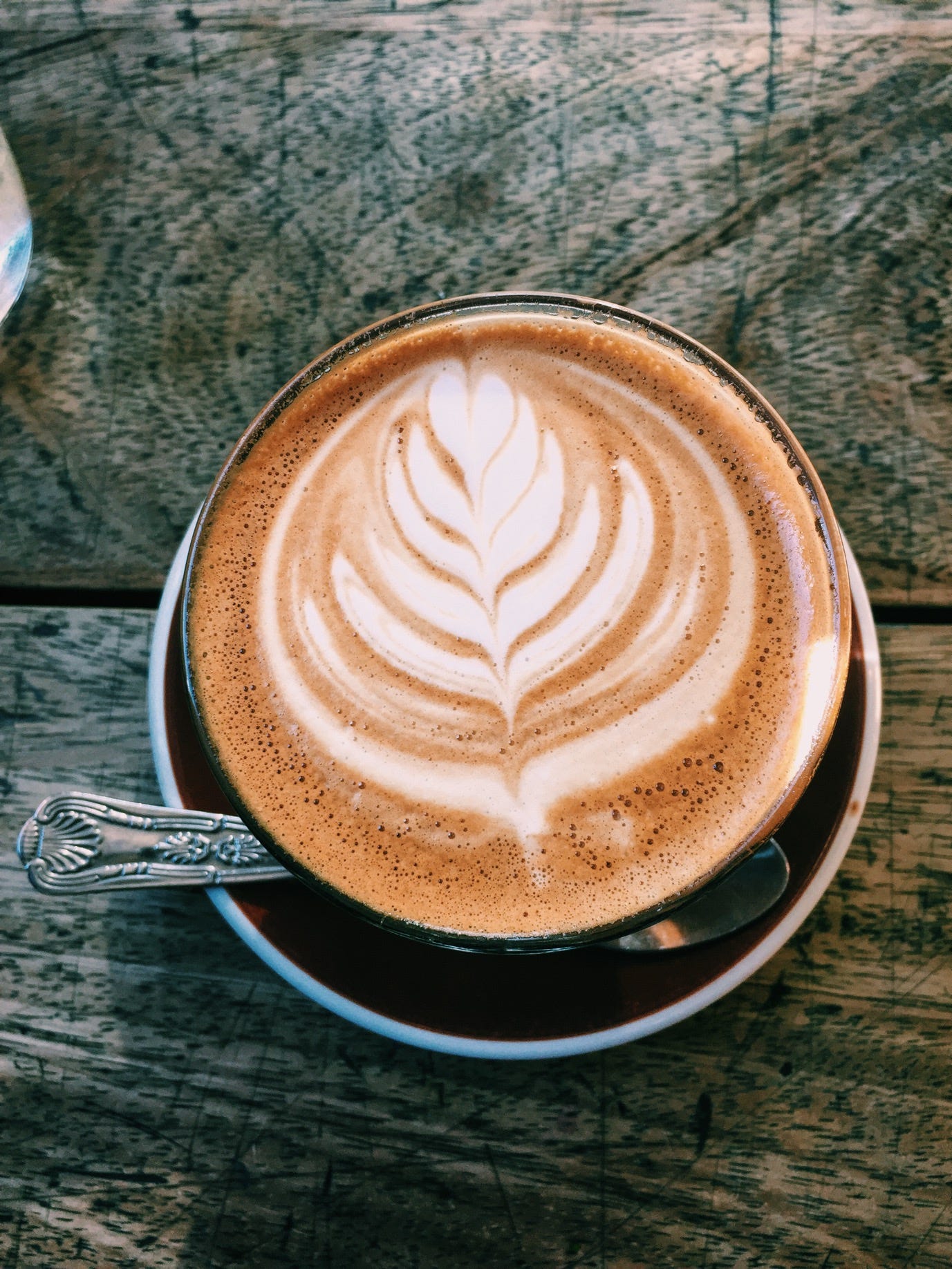 About – Fern Berry – Medium