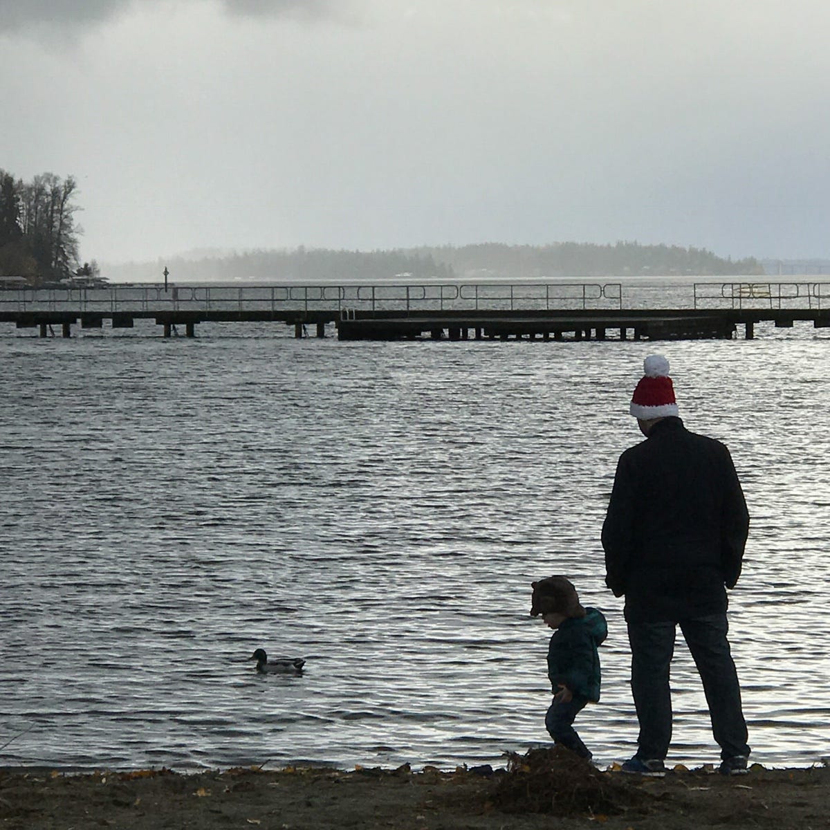 Gabriel Rego – Medium