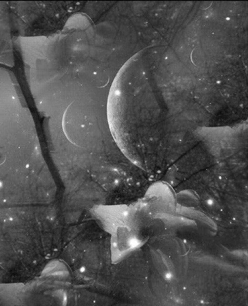 About – D’Angelo James ಠ_ಠ – Medium