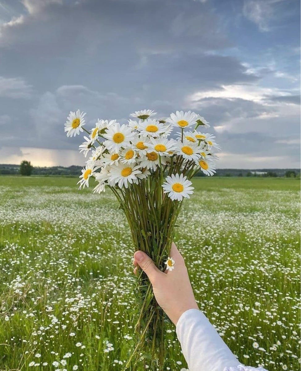 Ruby Mai on Medium curated some lists