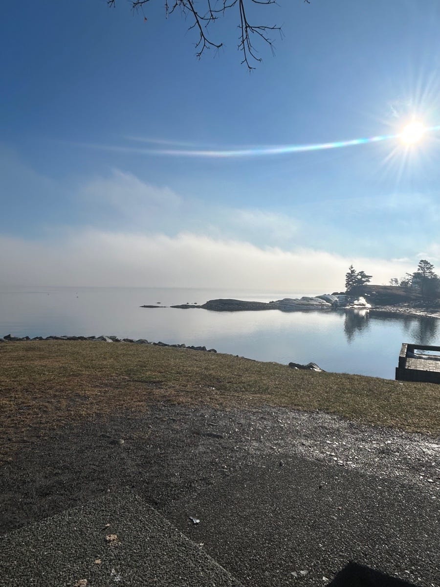 Janie Forb – Medium