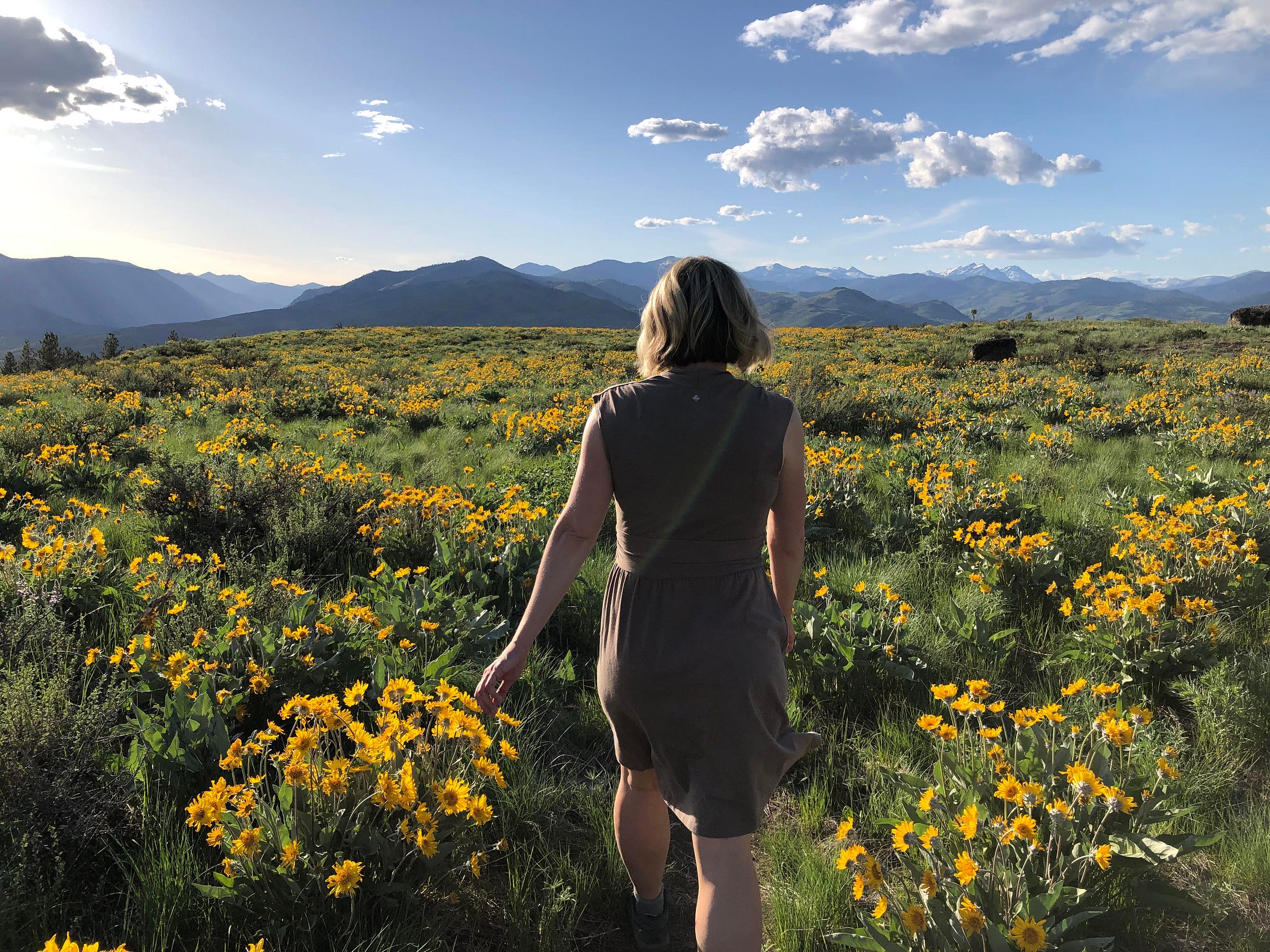 Lily Ray – Medium